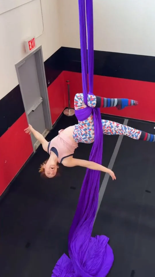 Circus Splendiferous
